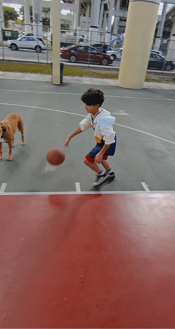 Discover Ray-Ban Meta Glasses | Target Optical